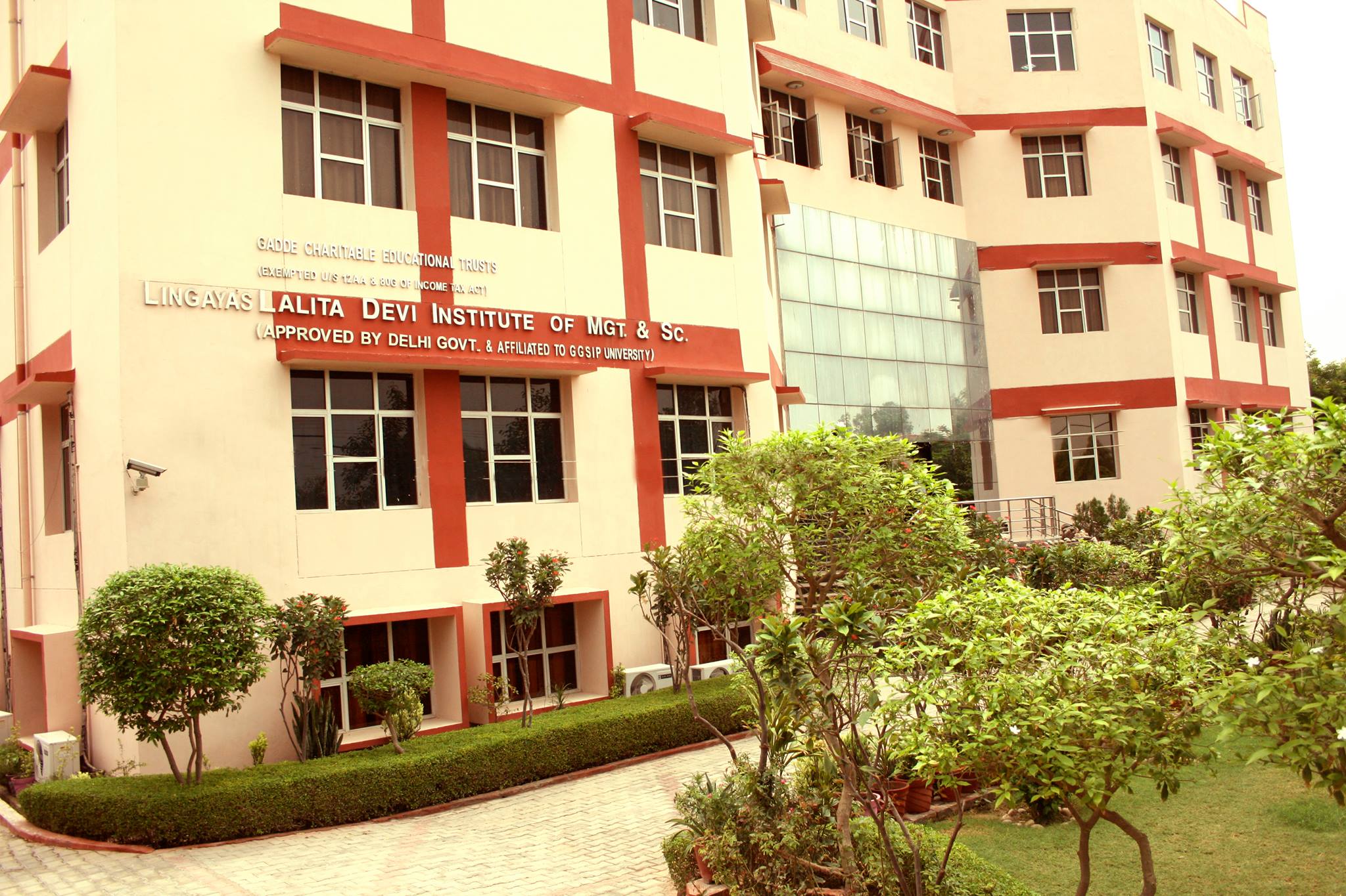 Importance of Data Analysis for BCA Students | LLDIMS